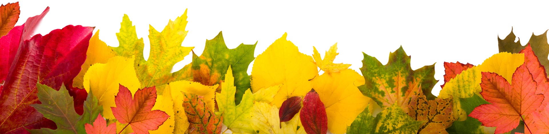 10 destinations pour un week-end au cœur de l'automne - Loisir ...